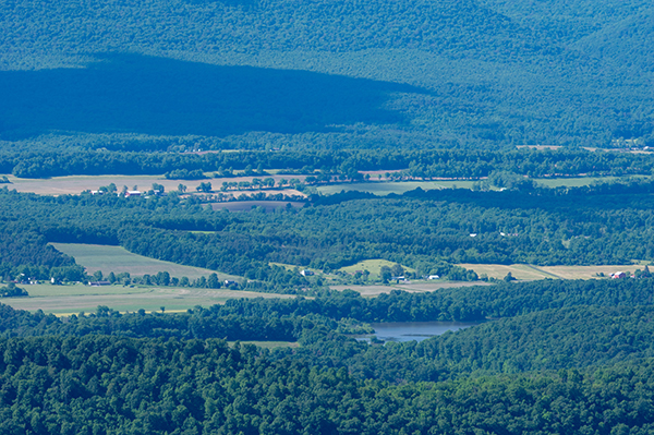 Epigenetics, bigfoot, mystery novels: here’s how Ohio State English ...